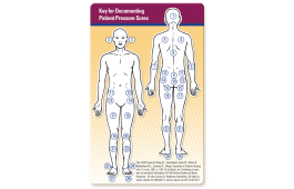 Visual Pain Tool Badgie™ Card